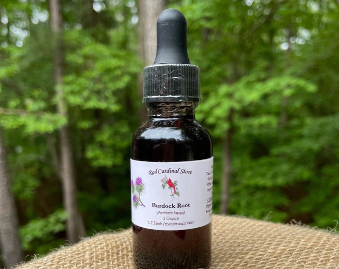 Burdock Root niu Bang Zi Tincture Herb Extract Double Extraction - Etsy
