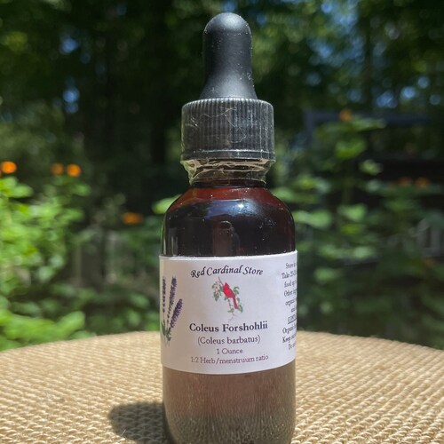 Organic COLEUS FORSKOHLII ROOT Tincture Ayurvedic Extract - Etsy