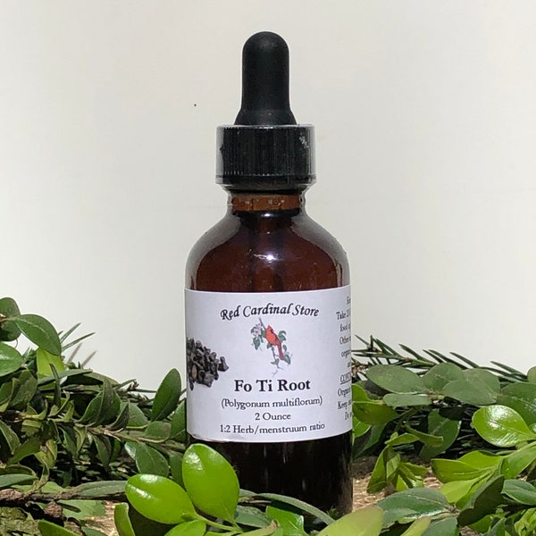 Ti Plant - Etsy