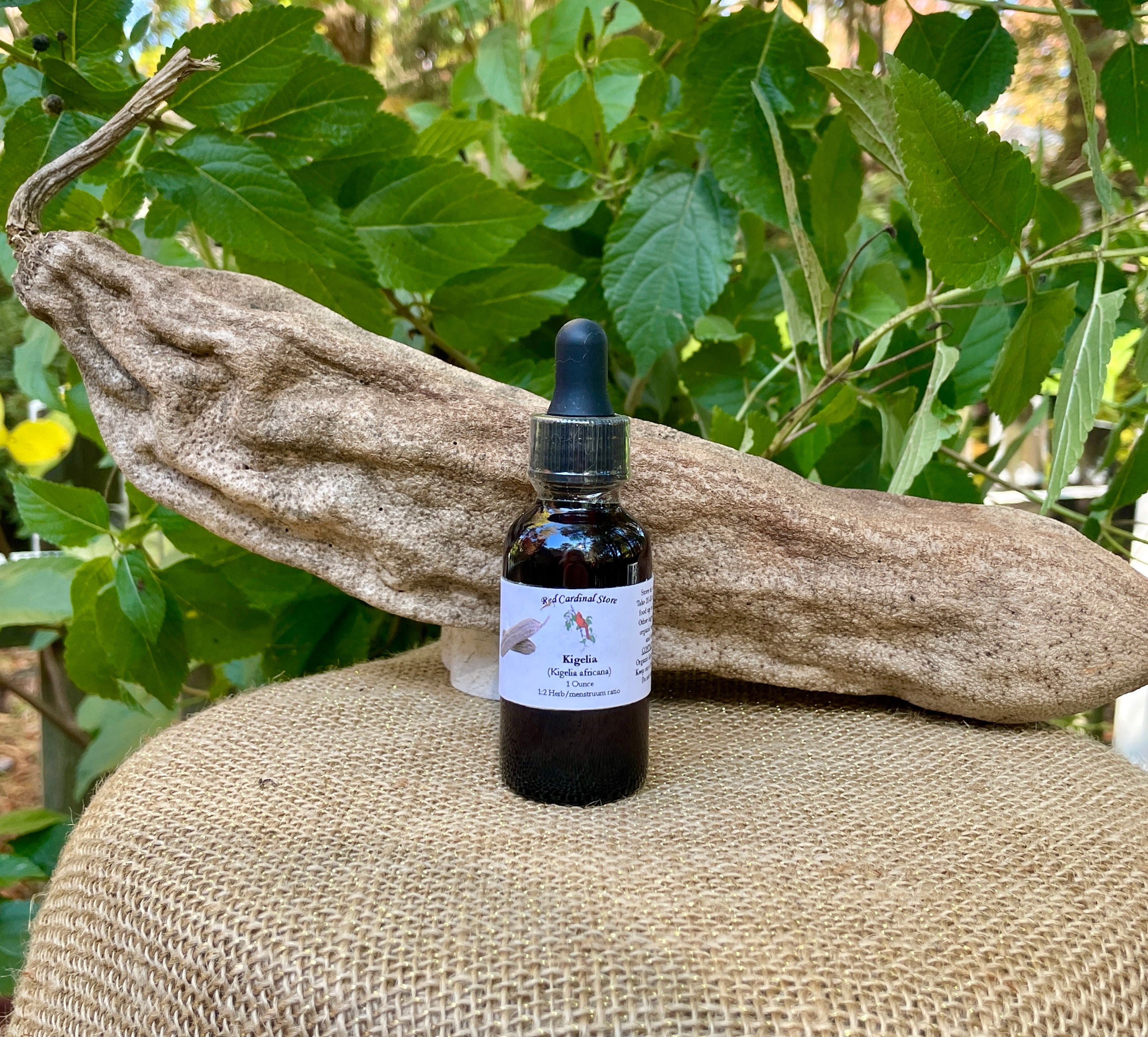 Kigelia (sausage Tree) Tincture Herb Extract Double Extraction - Etsy