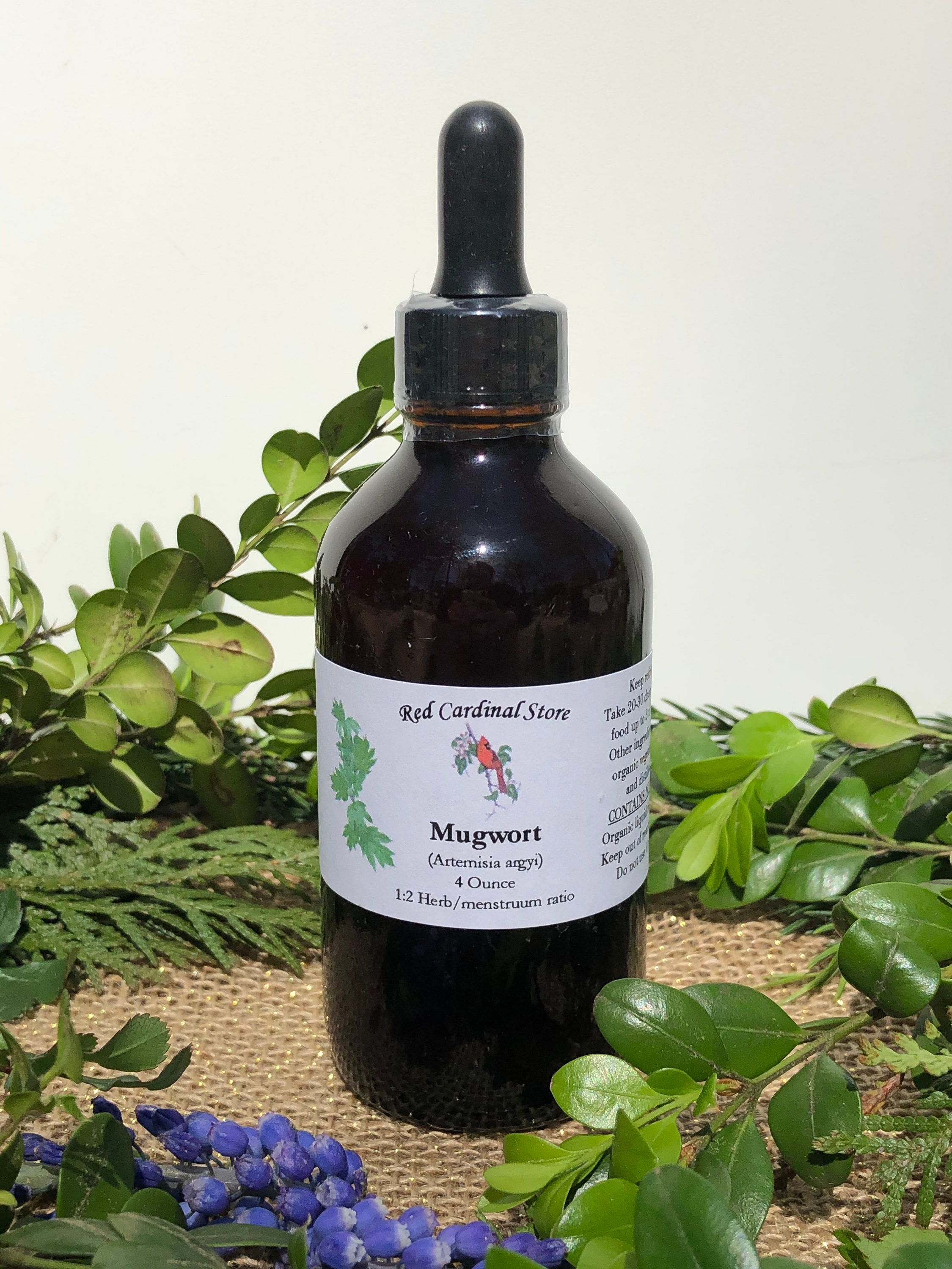 Mugwort (yomogi) Tincture Herb Extract Double Extraction - Etsy