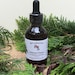 Kalanchoe Pinnata Tincture Herb Extract Double Extraction - Etsy