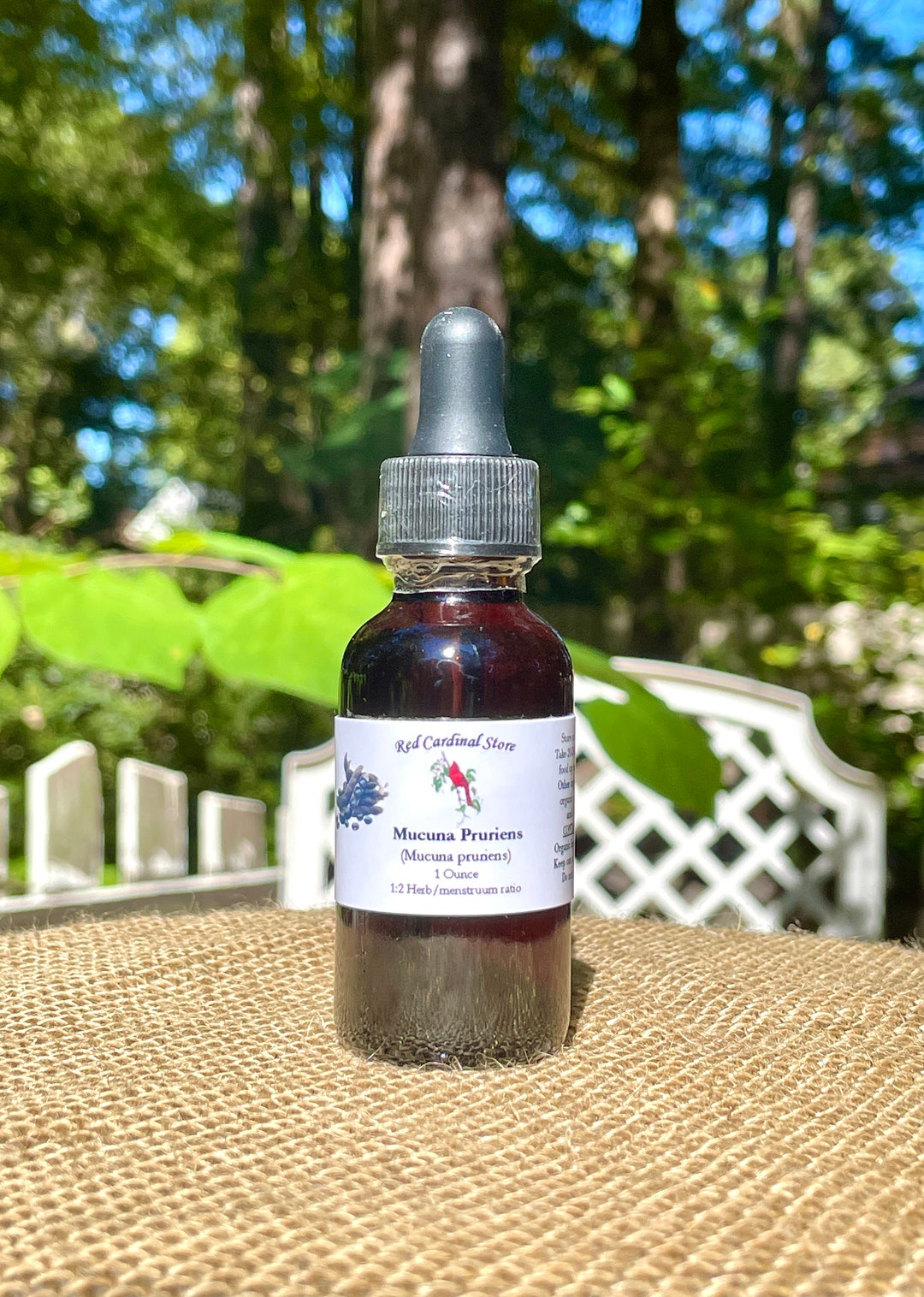Mucuna Pruriens (velvet Bean) Tincture Herb Extract Double Extraction ...