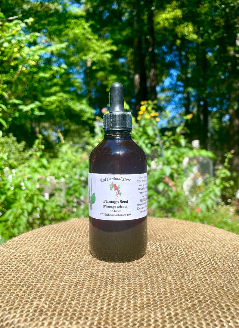 Plantago Asiatica Seed asian Plantain Che Qian Zi Tincture - Etsy