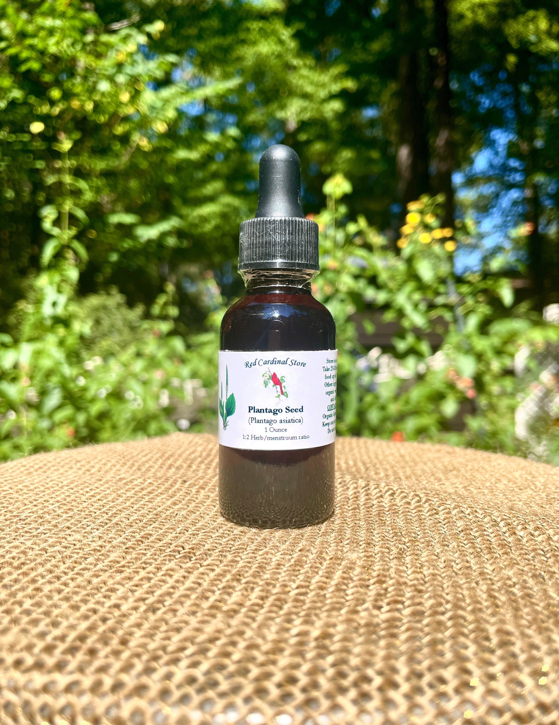 Plantago Asiatica Seed (asian Plantain, Che Qian Zi) Tincture Herb ...