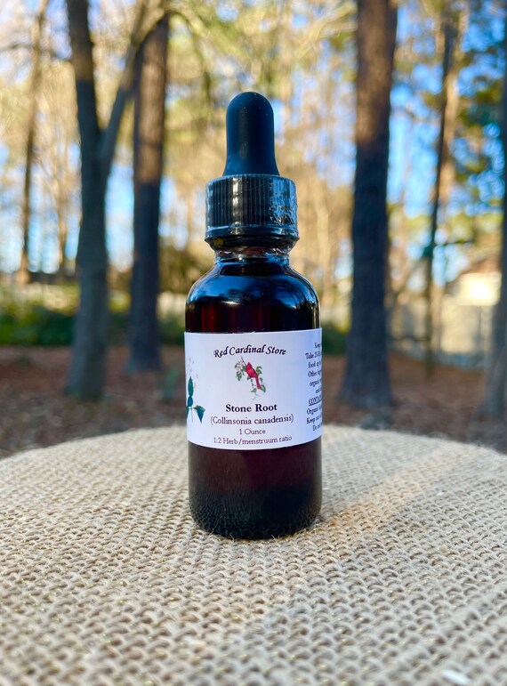 Stone Root Tincture Herb Extract Double Extraction | Etsy