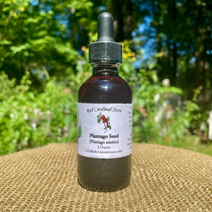 Plantago Asiatica Seed (asian Plantain, Che Qian Zi) Tincture Herb ...