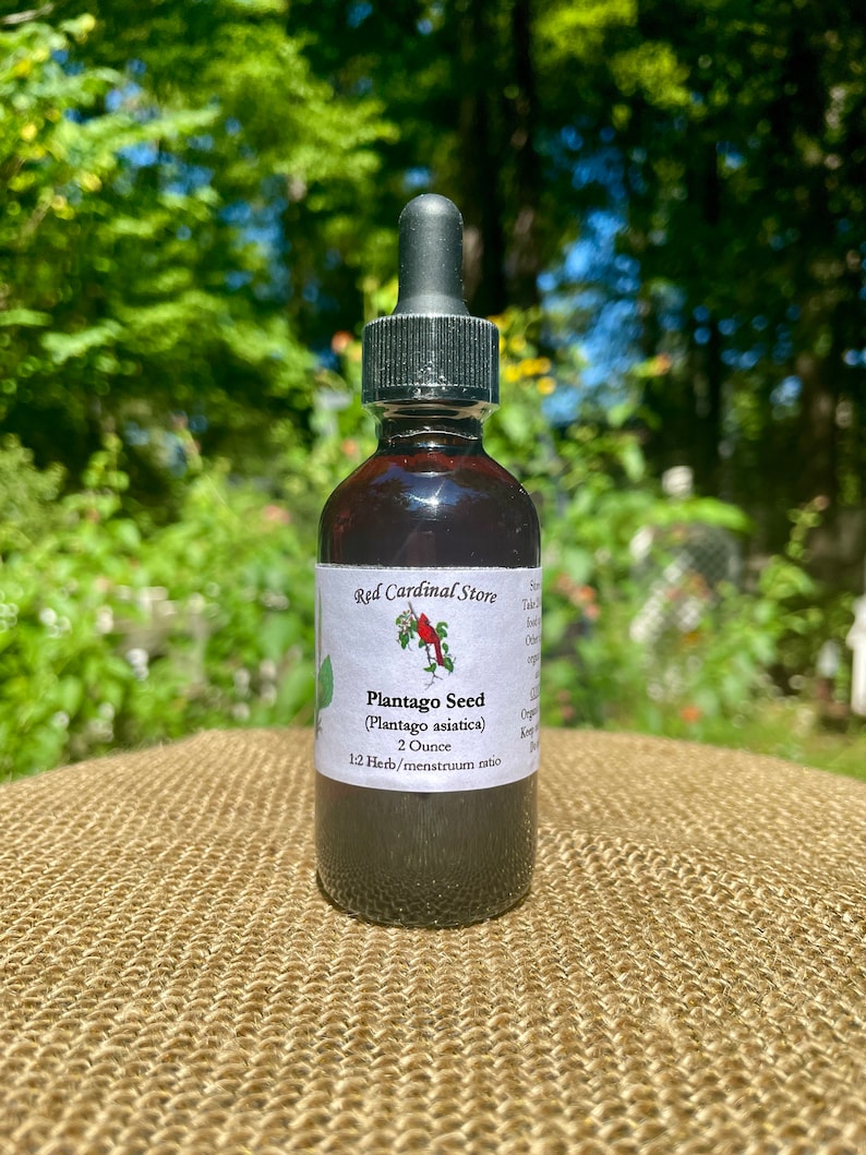 Plantago Asiatica Seed asian Plantain Che Qian Zi Tincture - Etsy