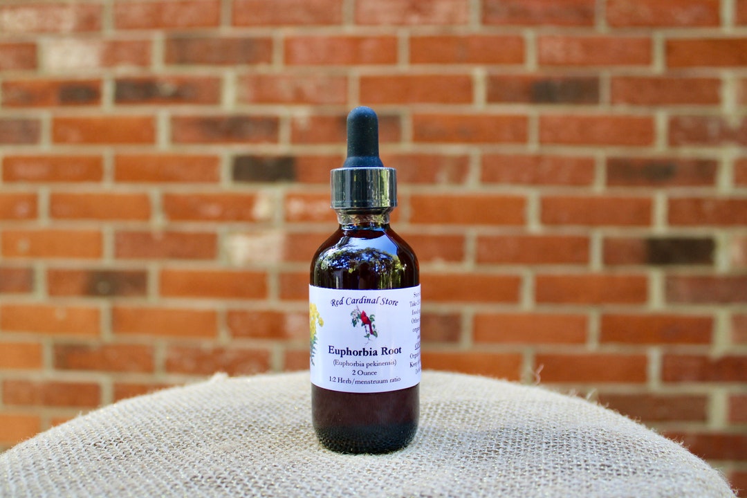 Euphorbia Root (euphorbia Pekinensis, Jing Da Ji) Tincture Herb Extract ...
