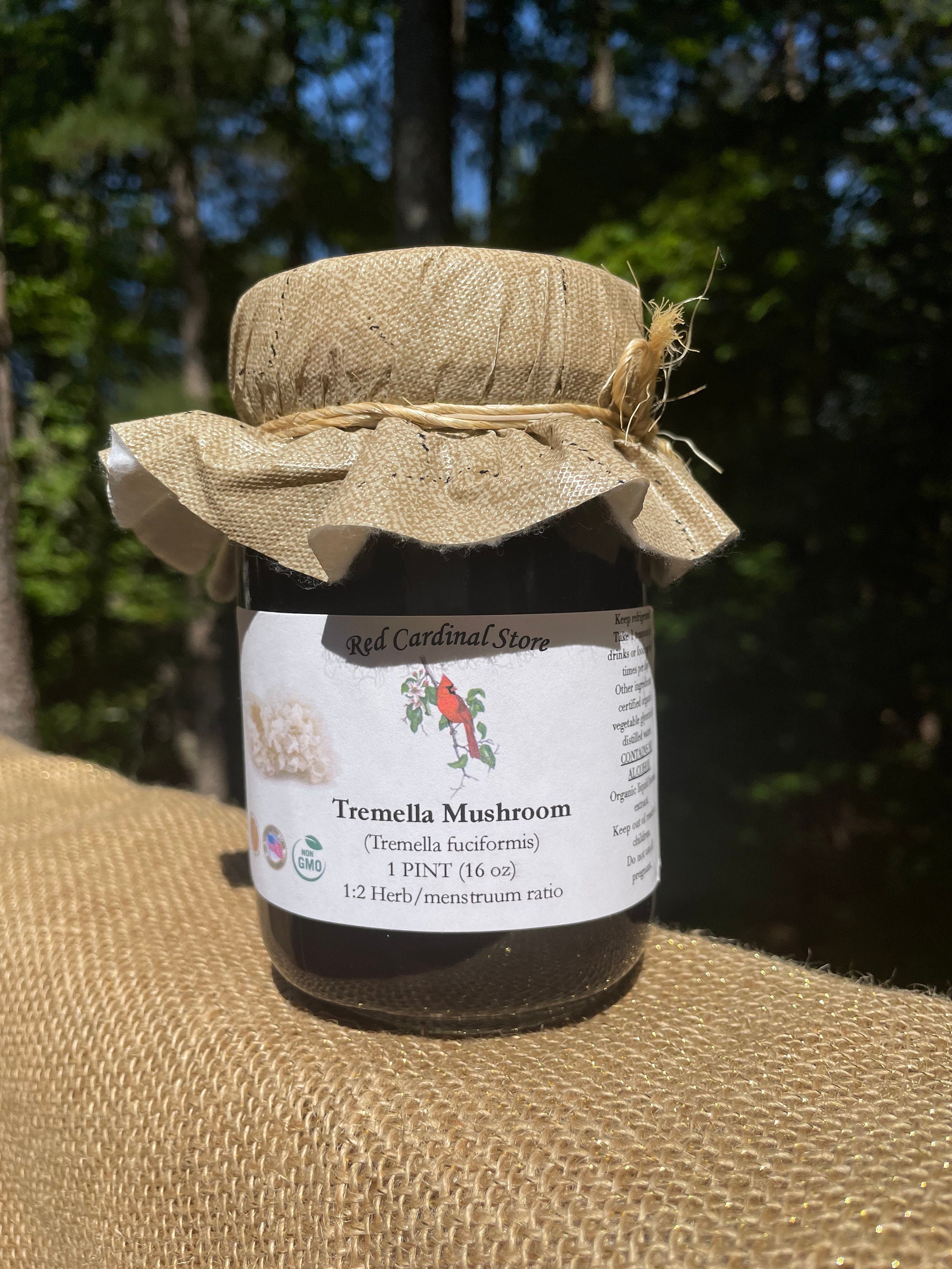 Tremella Mushroom snow Mushroom Jelly Fungus Tremella - Etsy
