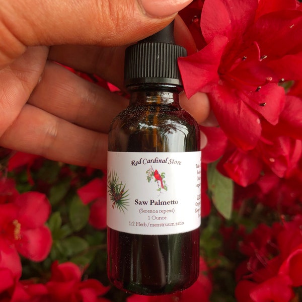 Palmetto& - Etsy