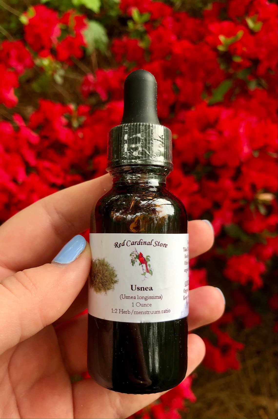Usnea (lichen, Old Man’s Beard) Tincture Herb Extract Double Extraction ...