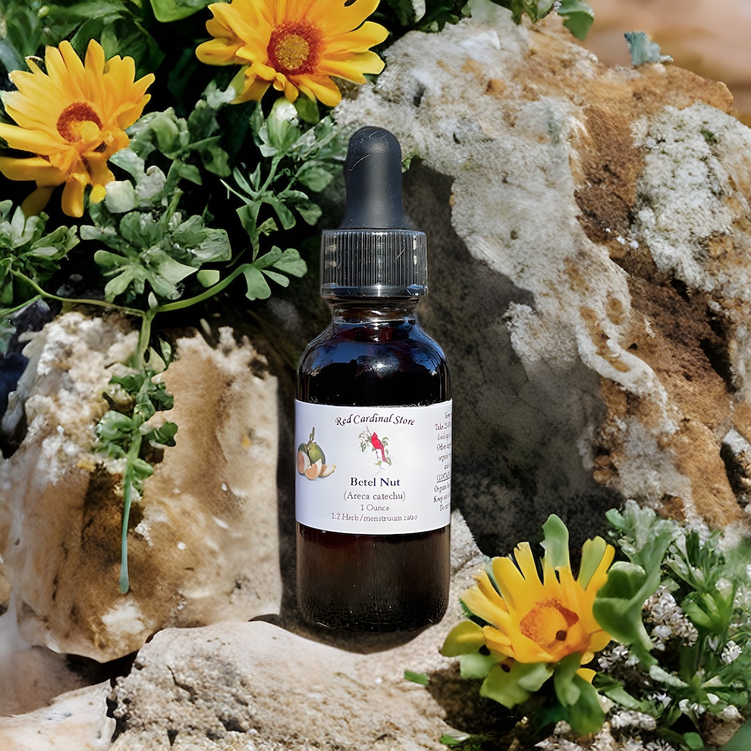 Betel Nut (bing Lang, Areca Nut, Areca Catechu) Tincture Herb Extract ...