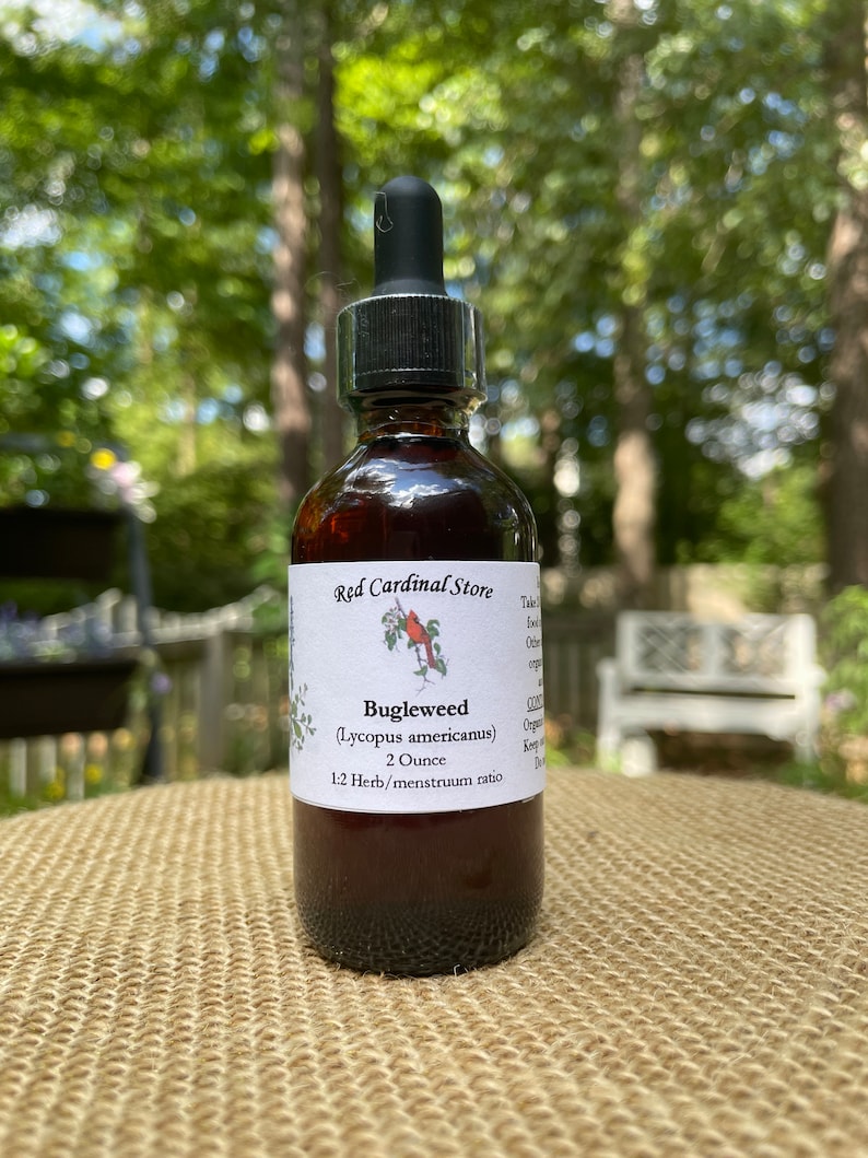 Bugleweed Tincture Herb Extract Double Extraction - Etsy