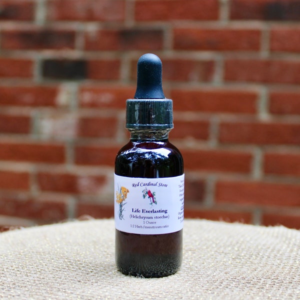 Everlasting Flower - Etsy