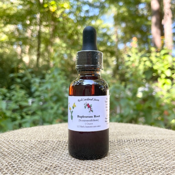 Bupleurum - Etsy