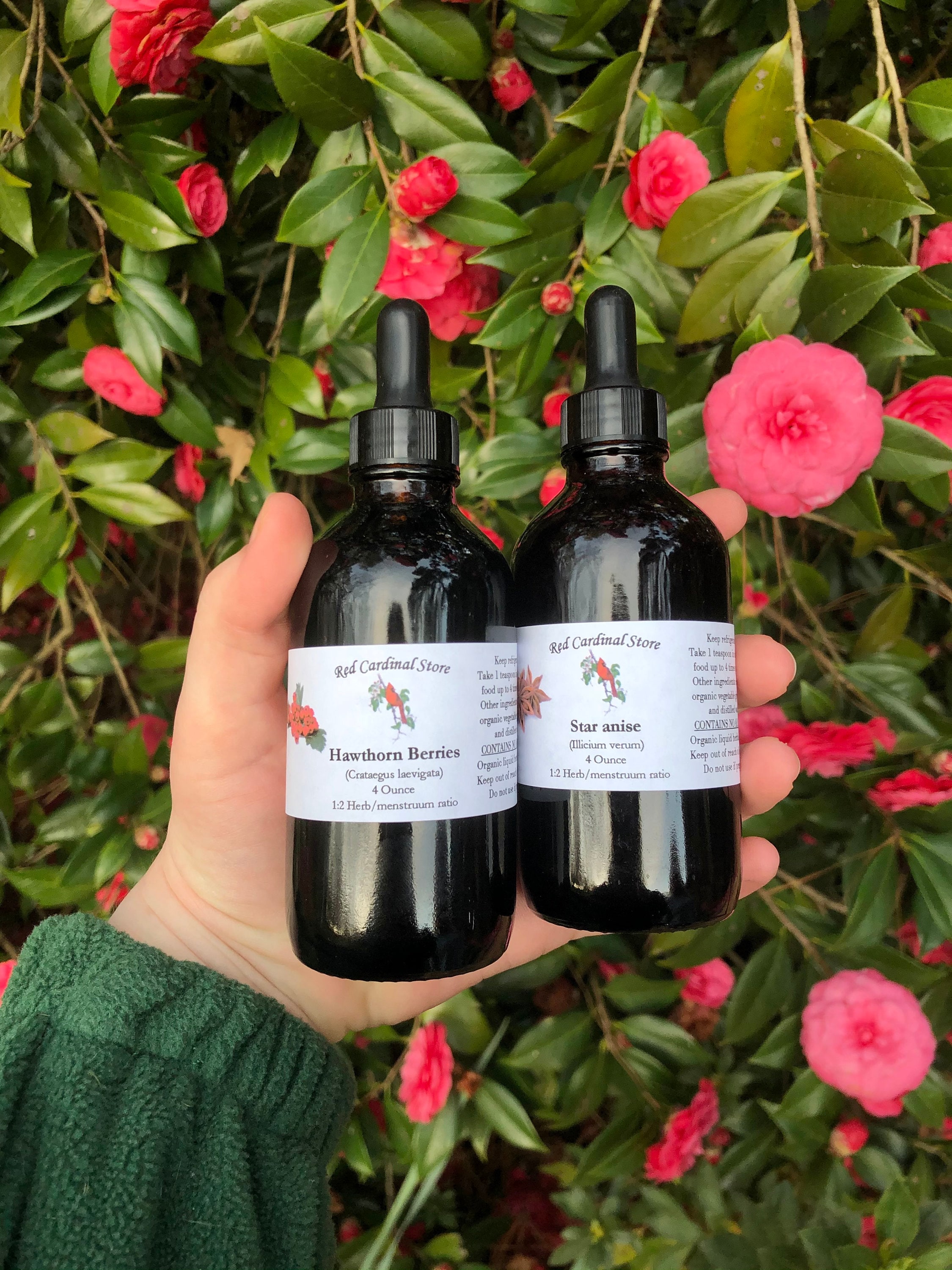 Kalanchoe Pinnata Tincture Herb Extract Double Extraction - Etsy