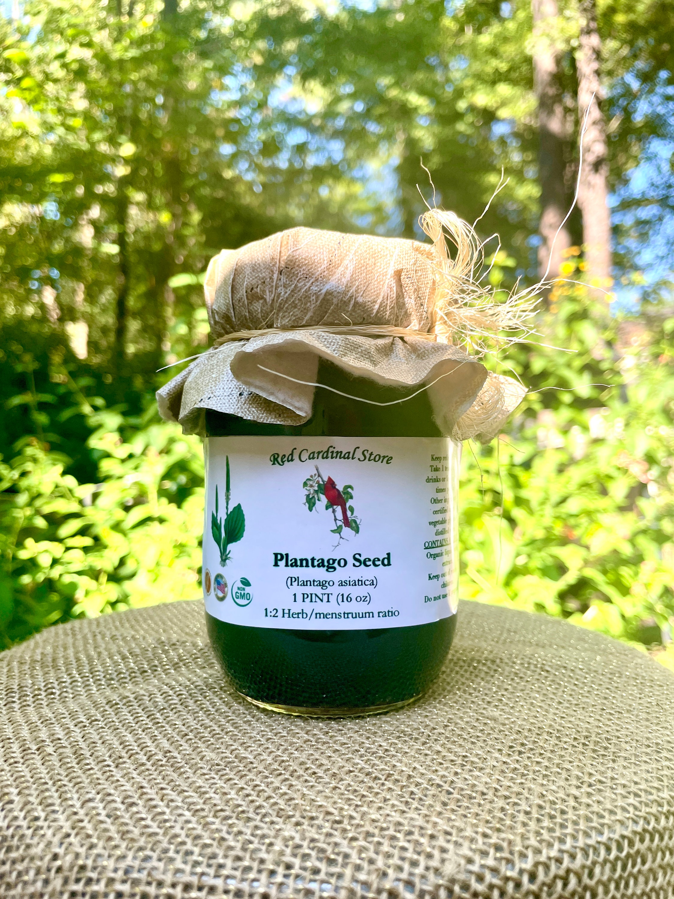 Plantago Asiatica Seed (asian Plantain, Che Qian Zi) Tincture Herb ...