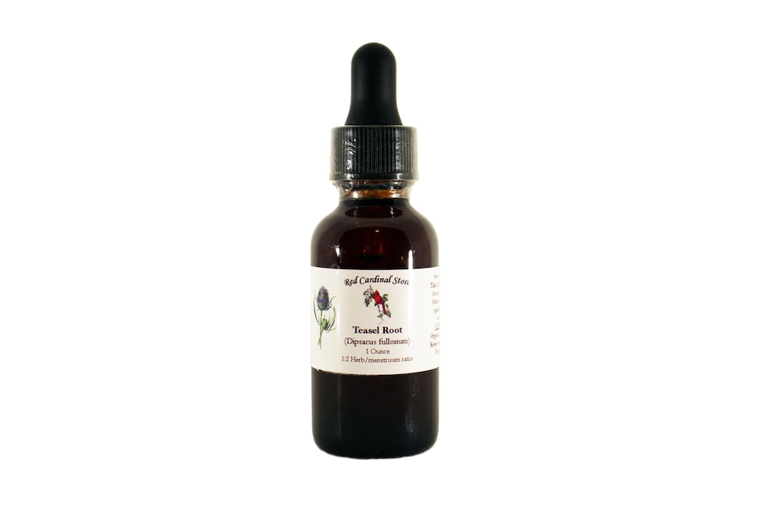 Teasel Root (dipsacus Fullonum) Tincture Herb Extract Double Extraction ...