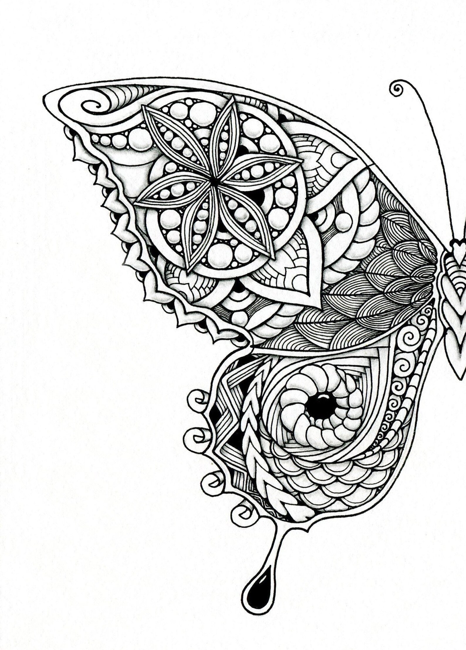 Butterfly Wall Art Butterfly Print Zentangle Printable | Etsy