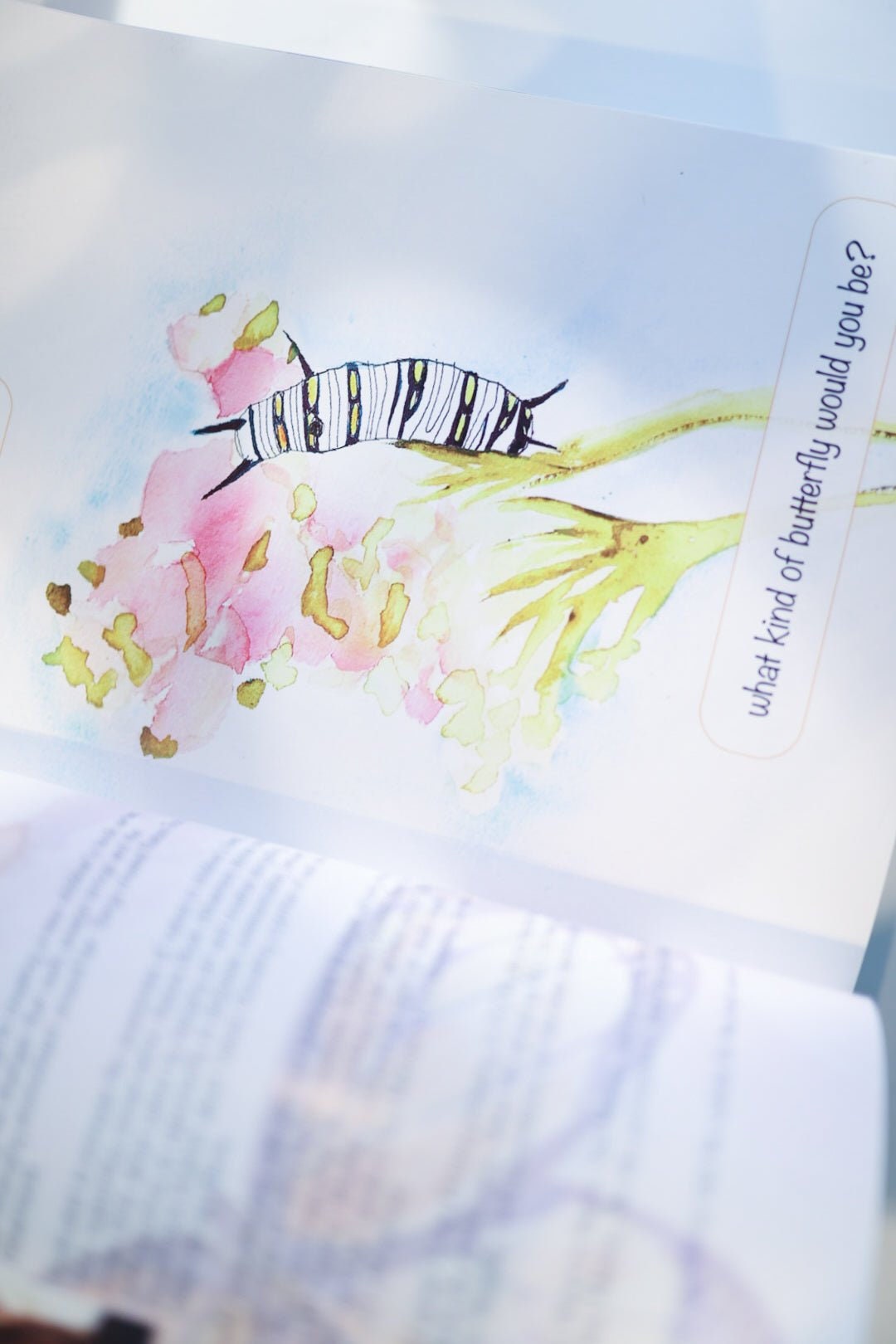 If You Were a Butterfly... Paper Back Book - Etsy