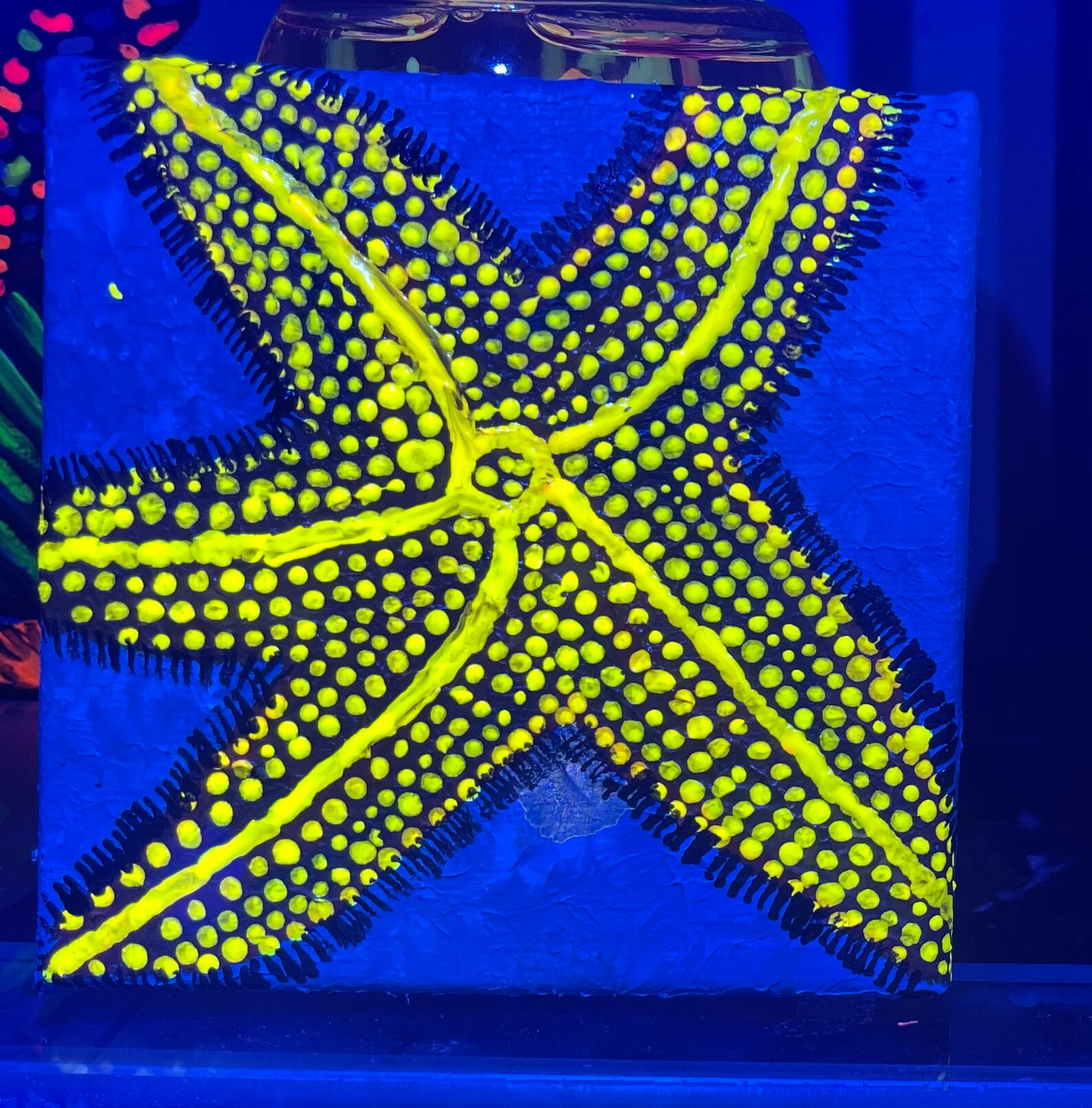 Hand Painted Acrylic & UV Starfish Beautiful Over Saltwater Aquarium - Etsy