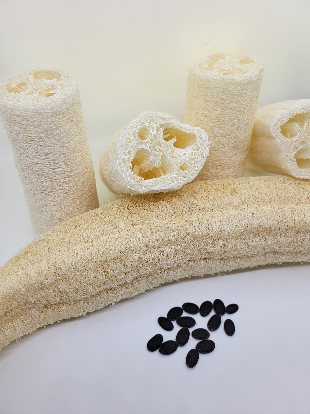 Loofah Seeds - Etsy