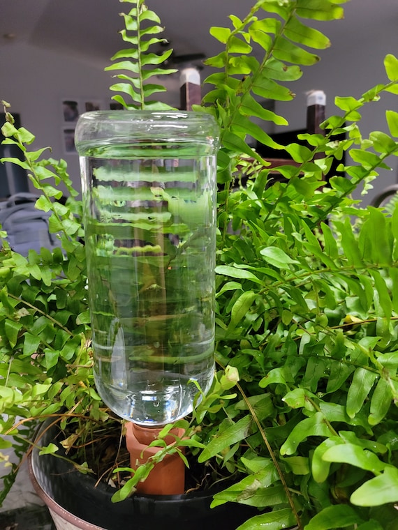 Ceramic Spike With Clear Bottle | Etsy