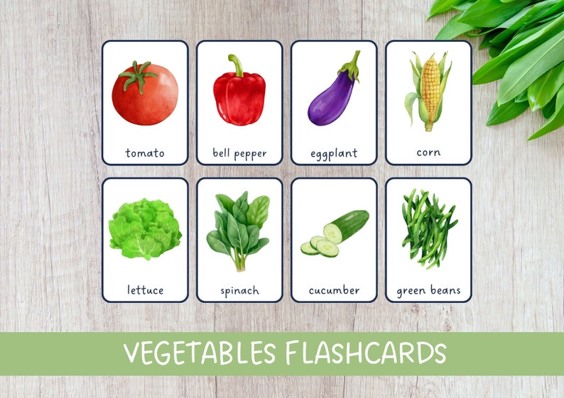 Vegetables Flashcard, Vocabulary Card, Learning Card, Preschool ...