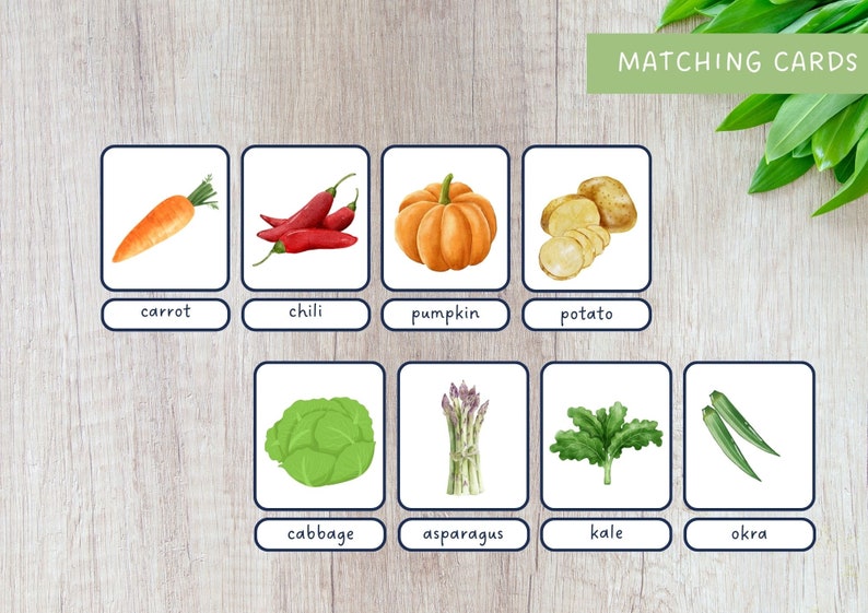 Vegetables Flashcard, Vocabulary Card, Learning Card, Preschool ...