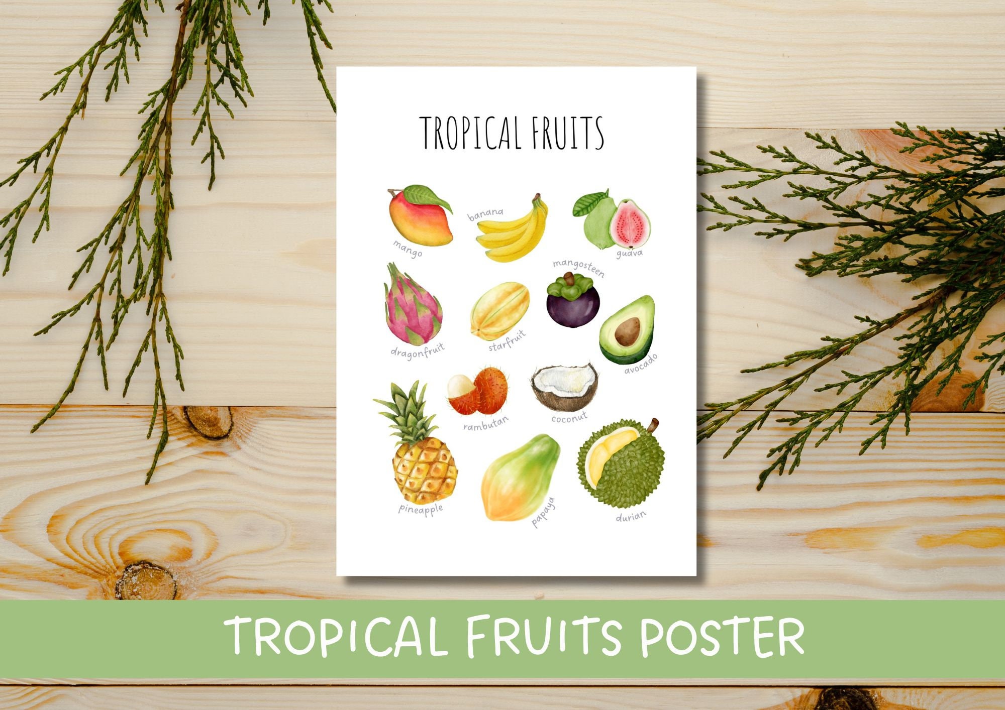Tropical Fruits Poster, Nursery Room, Classroom Decor, Educational ...