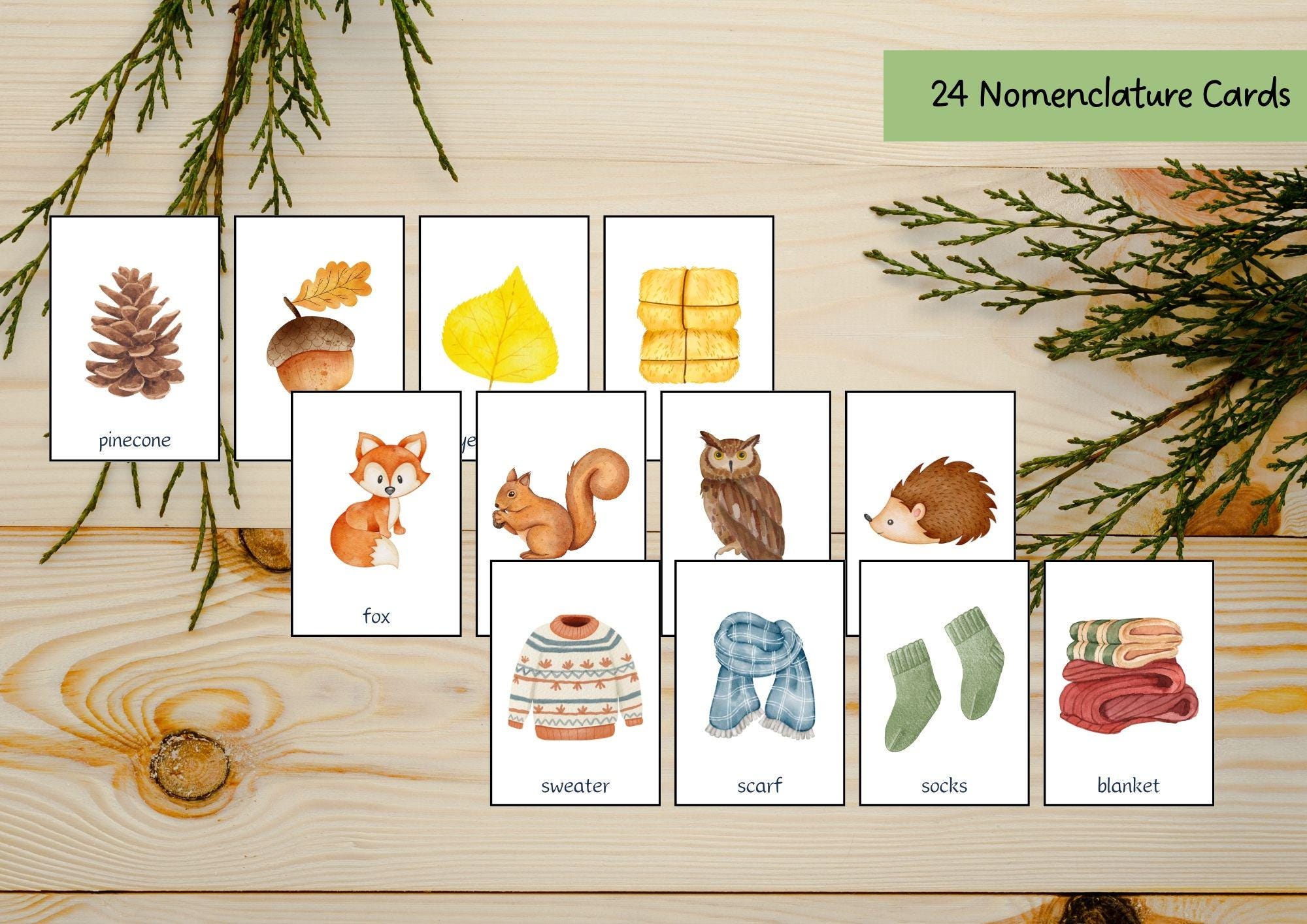 Autumn Activity Pack for Toddlers, Fall Preschool Activity, Fall ...