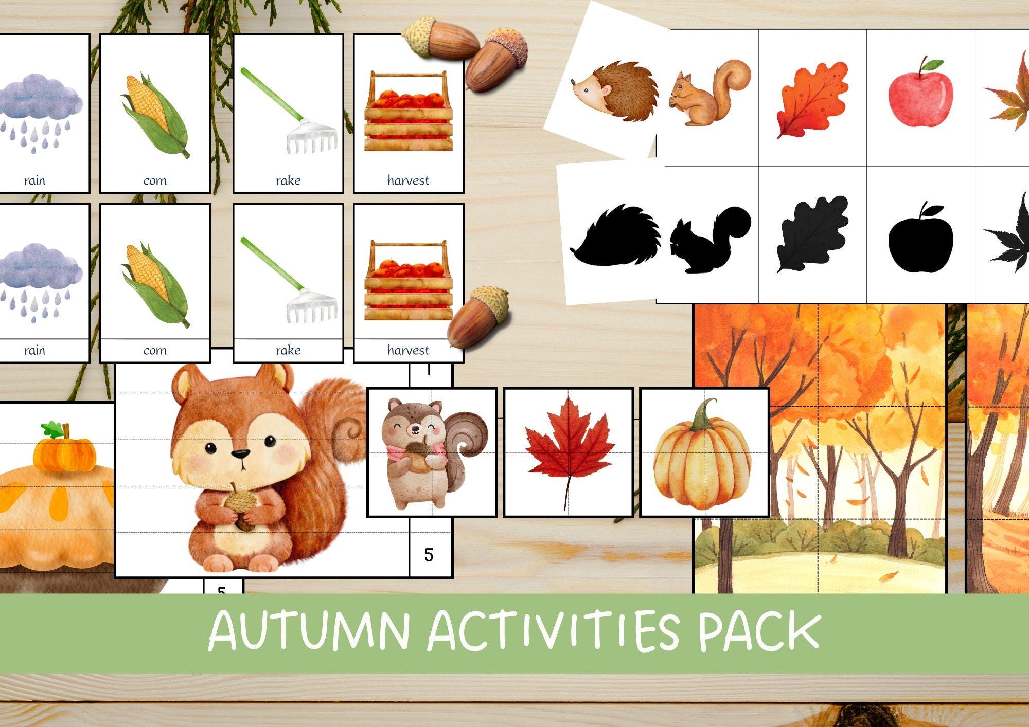 Autumn Activity Pack for Toddlers, Fall Preschool Activity, Fall ...