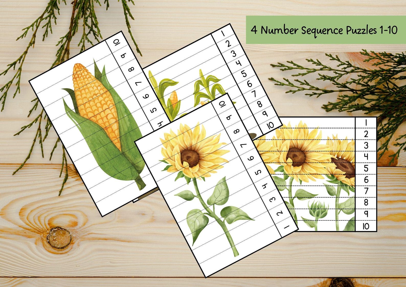 Autumn Activity Pack for Toddlers, Fall Preschool Activity, Fall ...