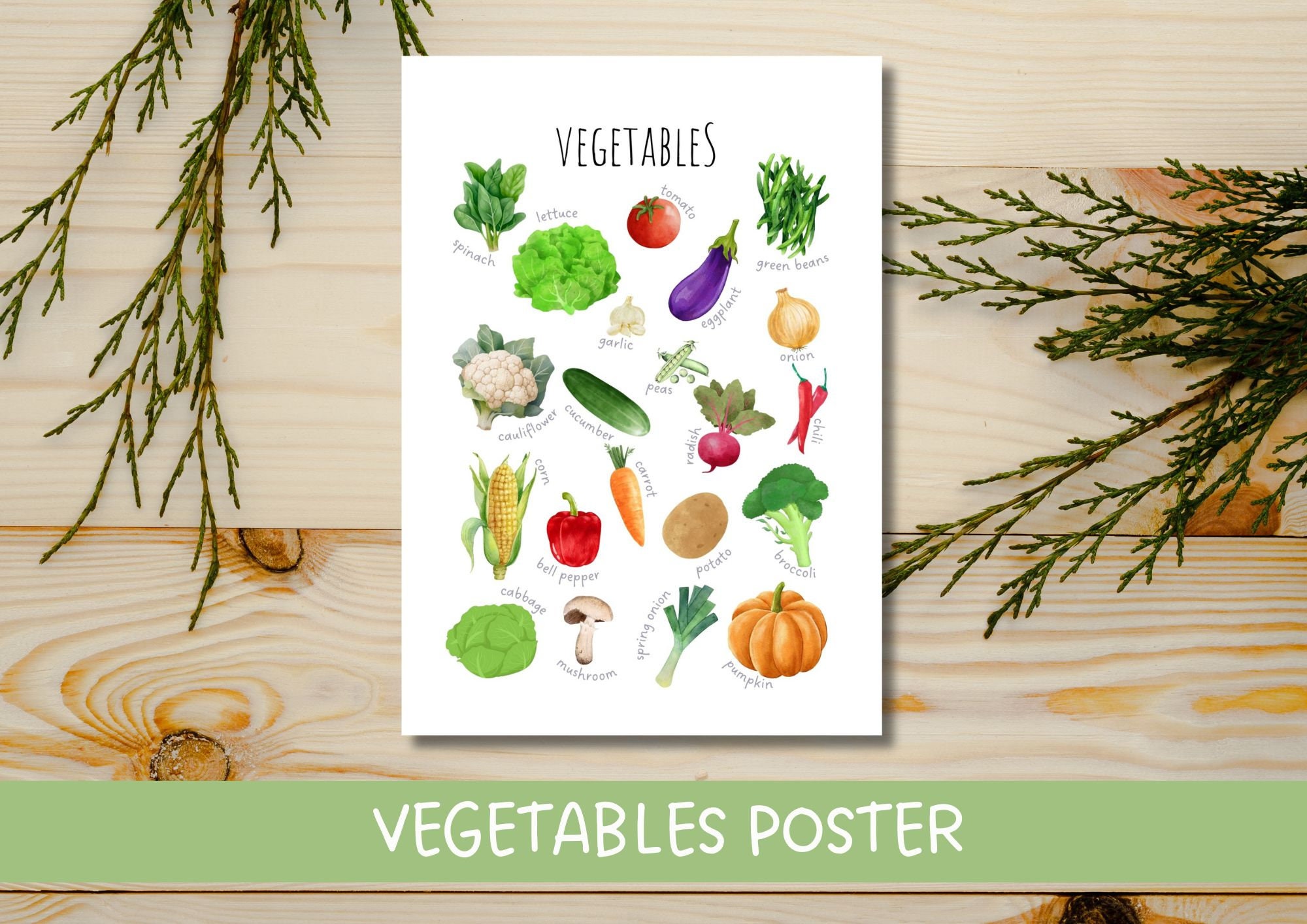 Vegetables Poster, Learning Vegetables, Nursery Room, Classroom Decor ...