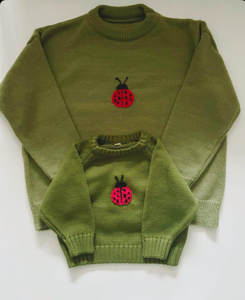 Women’s Hand Embroidered Ladybug Sweatshirt, Ladybird Knit Sweatshirt ...