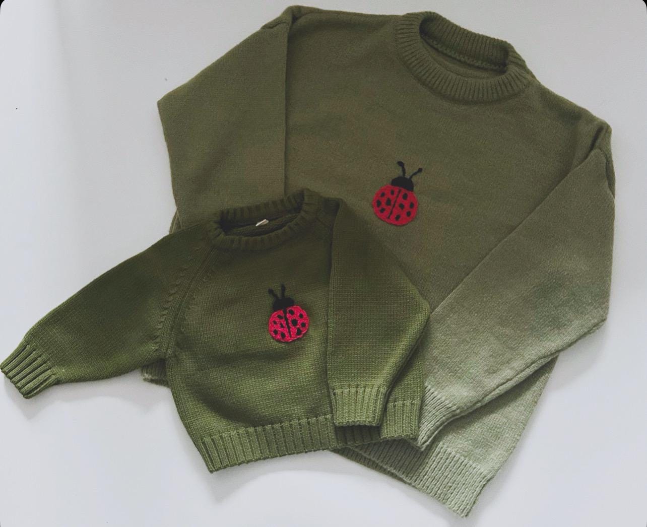 Women’s Hand Embroidered Ladybug Sweatshirt, Ladybird Knit Sweatshirt ...