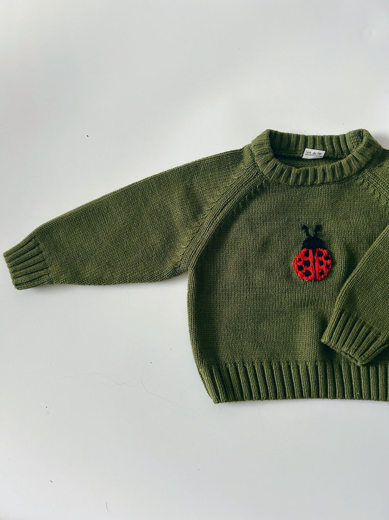 Hand Embroidered Ladybird Kids Knitted Sweater, Kids and Baby Clothing ...