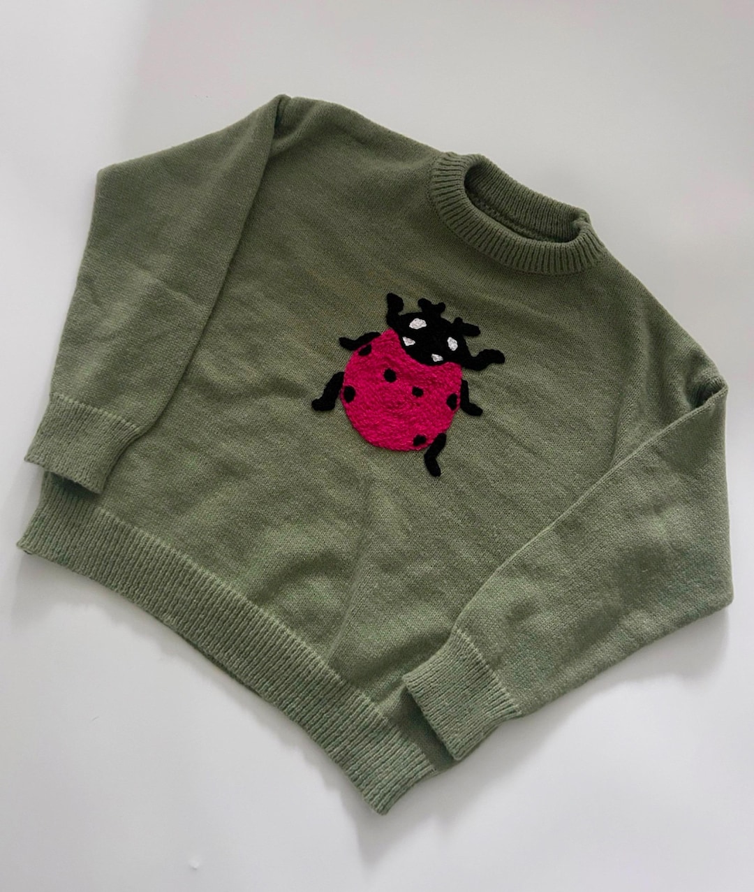 Women’s Hand Embroidered Green Ladybug Sweatshirt, Women’s Ladybird ...