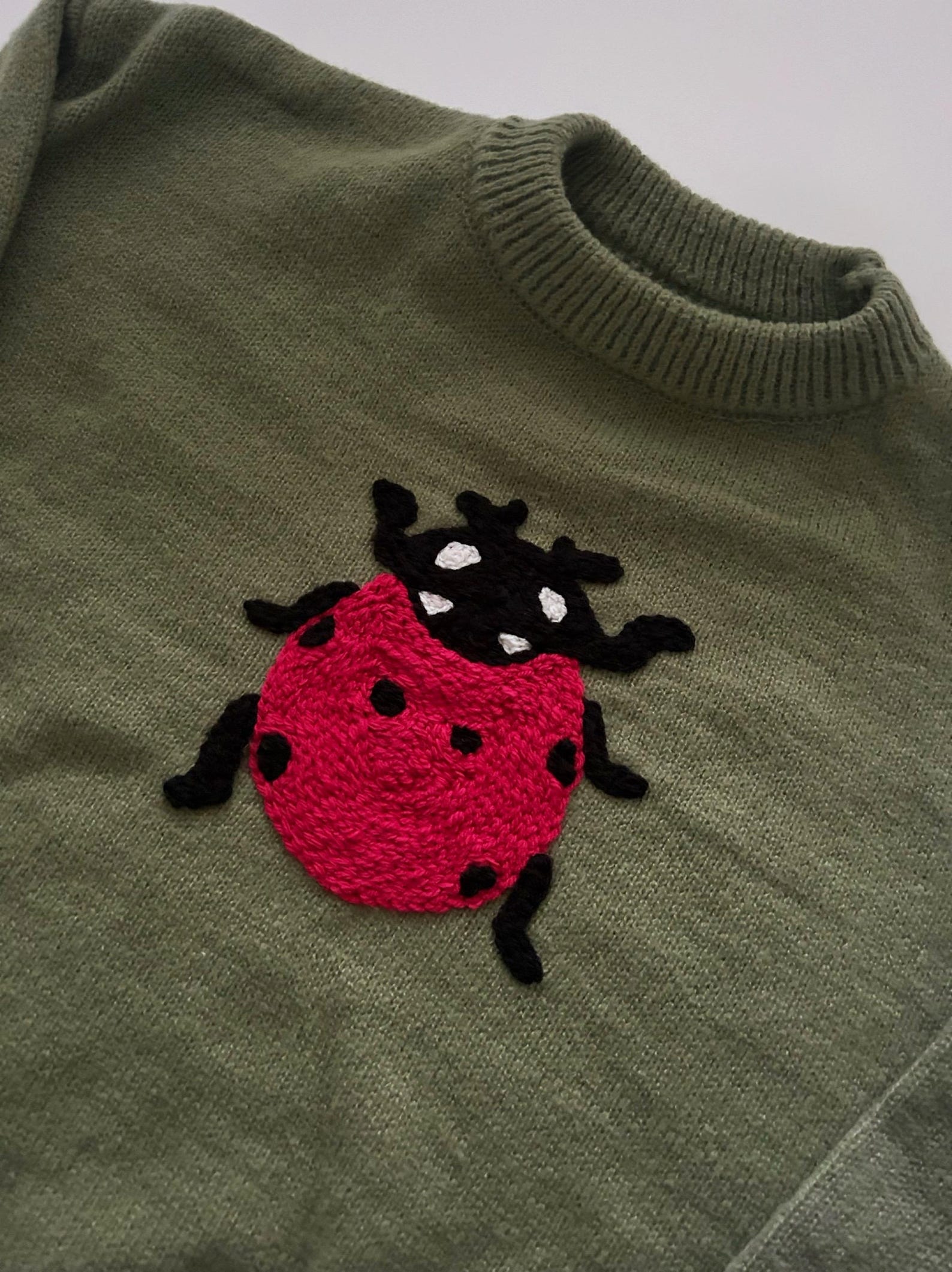 Women’s Hand Embroidered Green Ladybug Sweatshirt, Women’s Ladybird ...