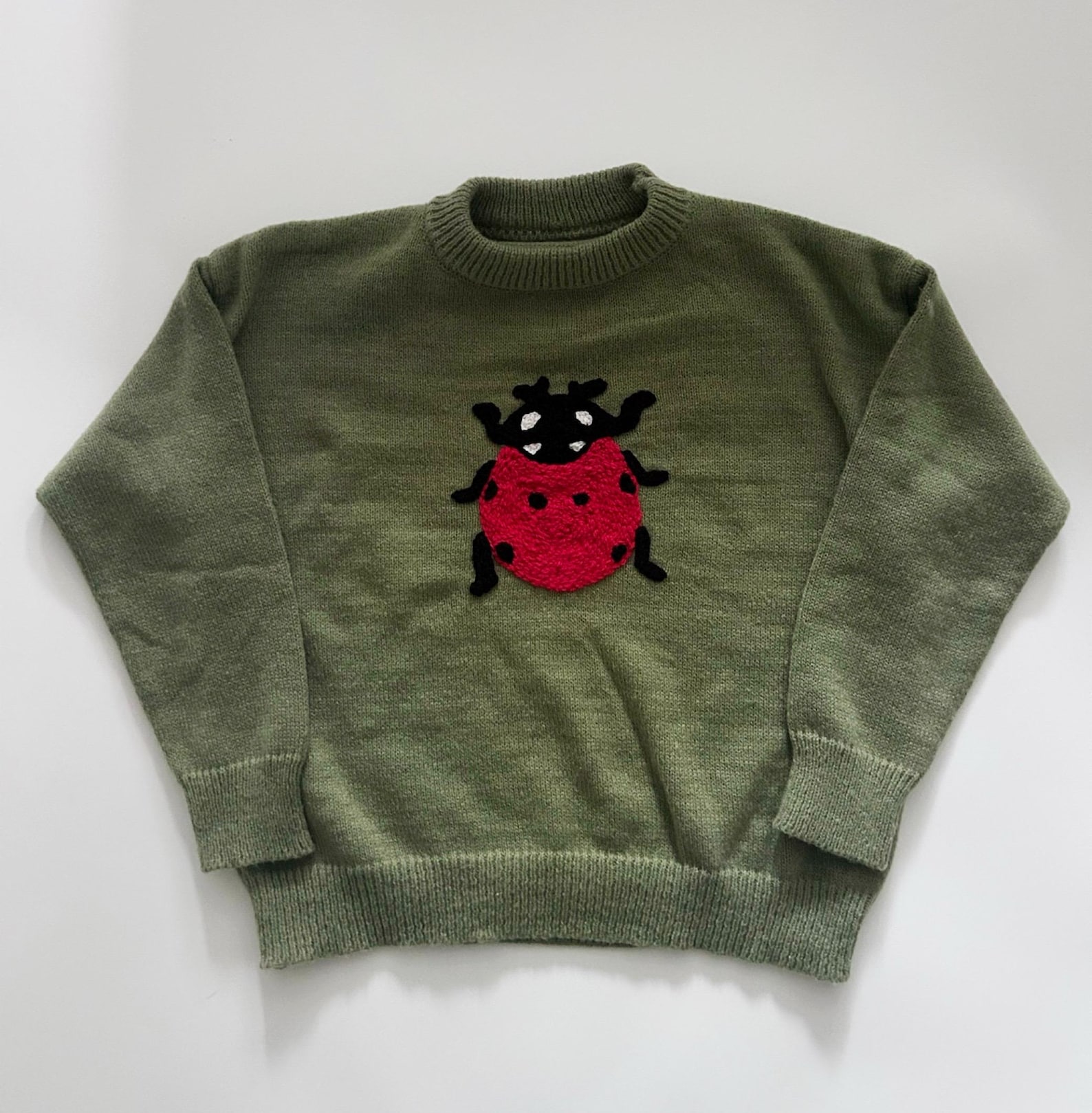 Women’s Hand Embroidered Green Ladybug Sweatshirt, Women’s Ladybird ...