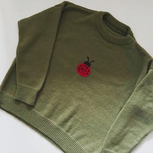 Women’s Hand Embroidered Ladybug Sweatshirt, Ladybird Knit Sweatshirt ...