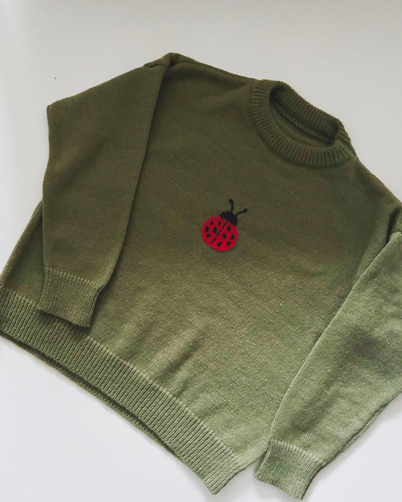 Women’s Hand Embroidered Ladybug Sweatshirt, Ladybird Knit Sweatshirt ...