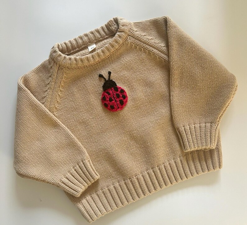 Hand Embroidered Ladybird Kids Knitted Sweater, Kids and Baby Clothing ...