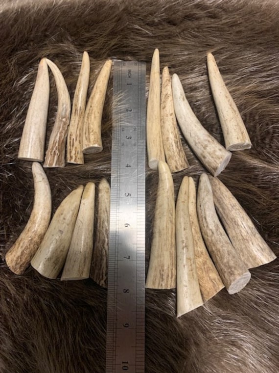 Deer/elk Antler Craft Tips - Etsy