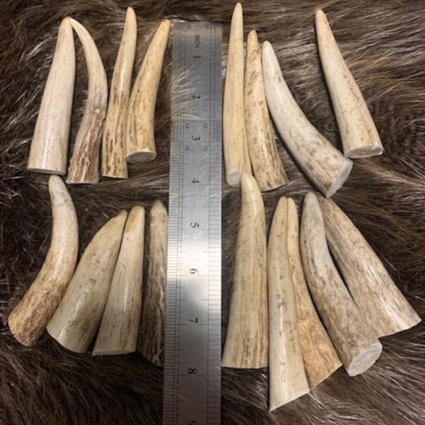 Deer Antler Tips - Etsy