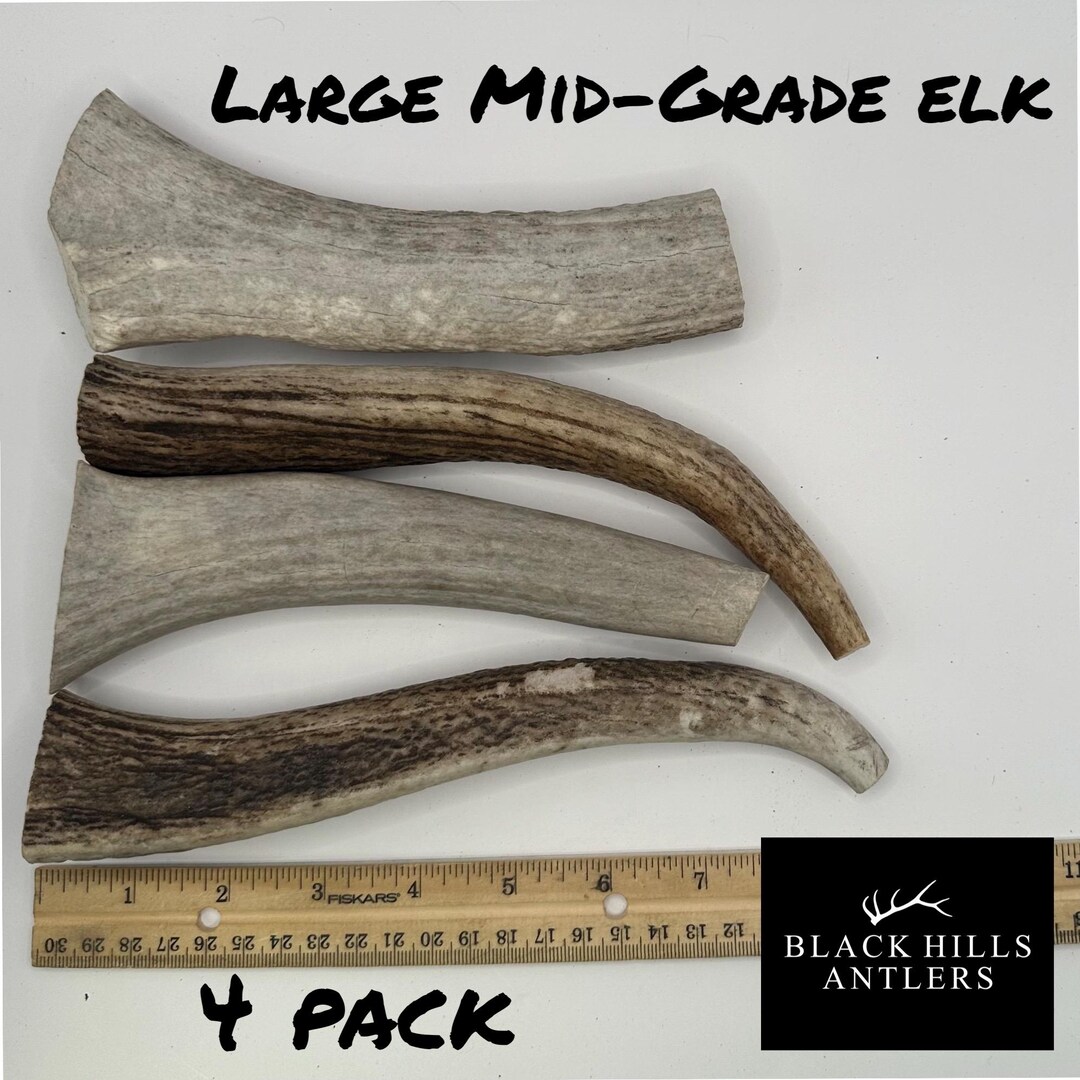 Large Mid-grade Elk 4 Pack - Etsy