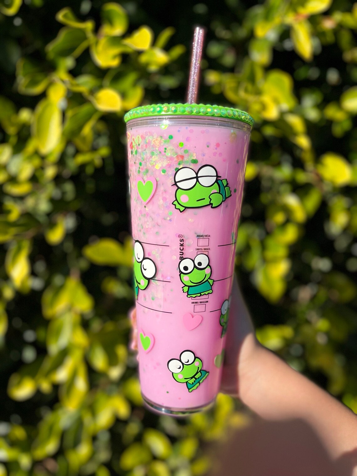 Frog Snow Globe Tumbler - Etsy