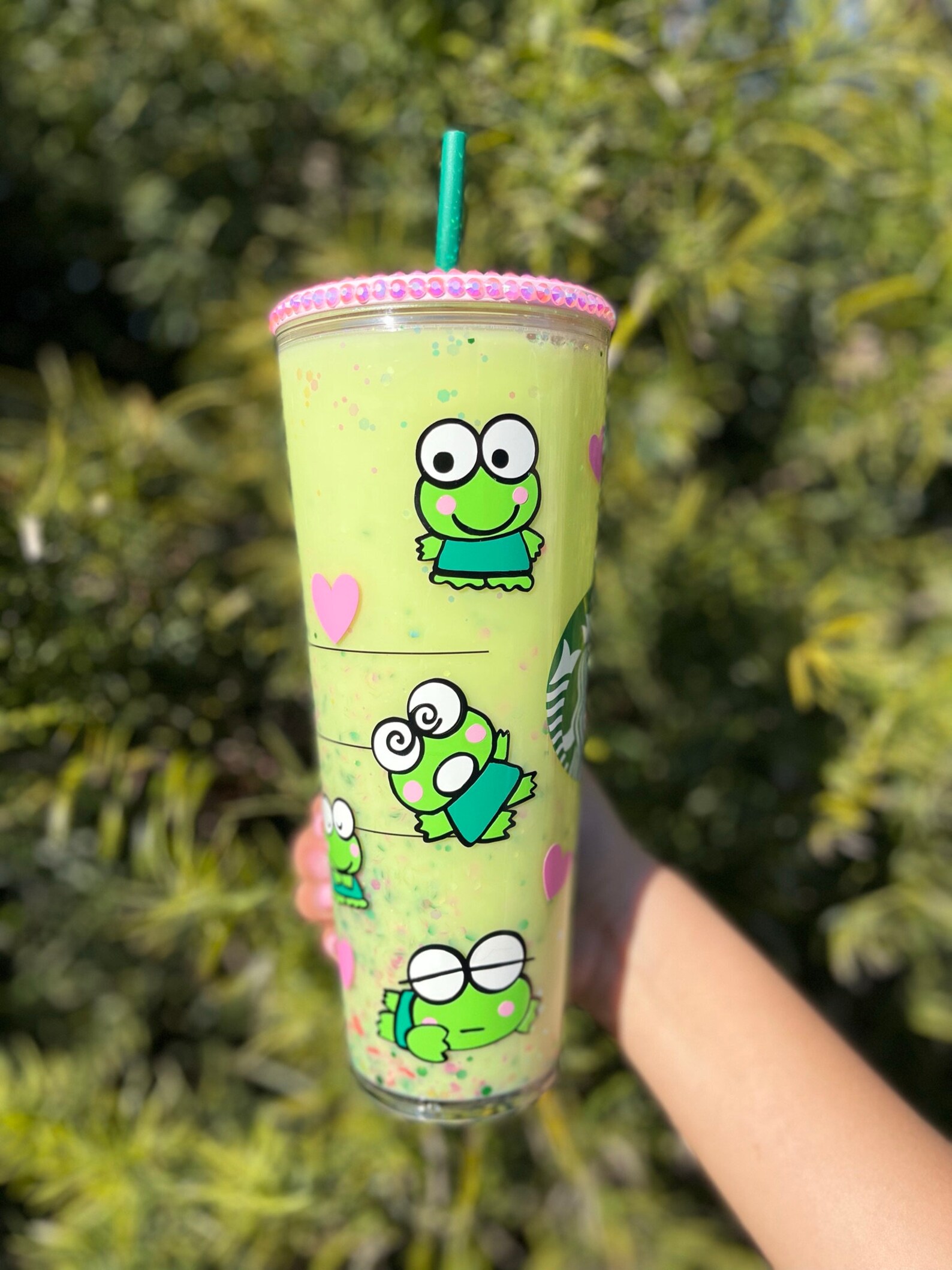 Frog Snow Globe Tumbler - Etsy