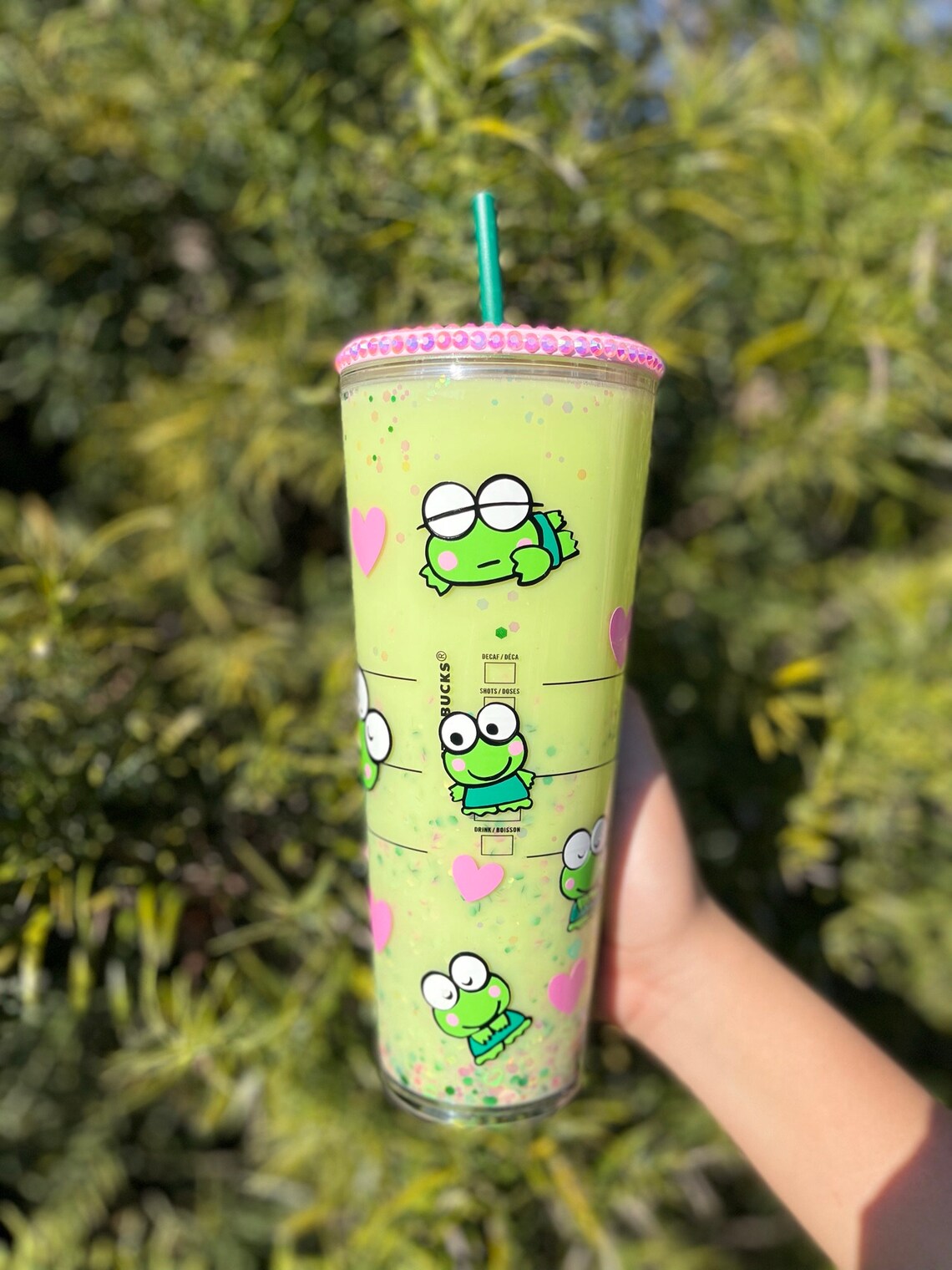 Frog Snow Globe Tumbler - Etsy